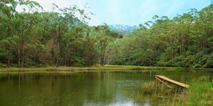 Attractions in Chinnakanal | The Siena Village Resort, Munnar